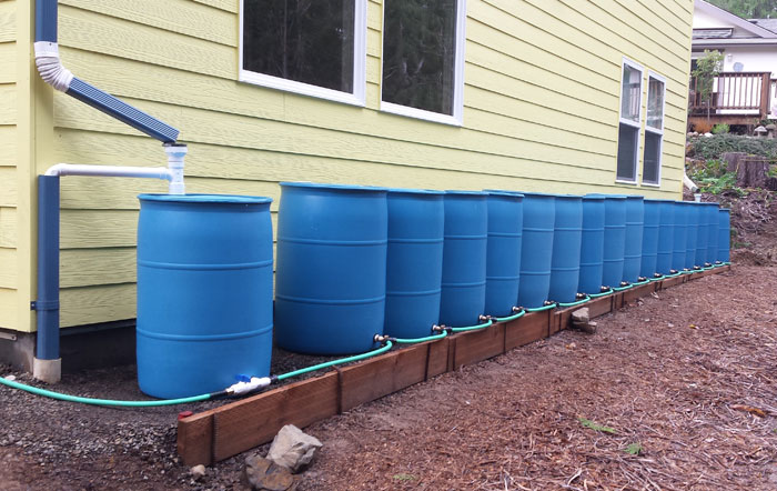 Rain Barrels, Rainwater Collection, Plastic Rain Barrel | GradyBarrels Rain Barrels, Rainwater Collection, Plastic Rain Barrel | GradyBarrels
